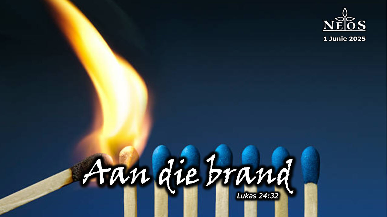 Aan die brand – Neos